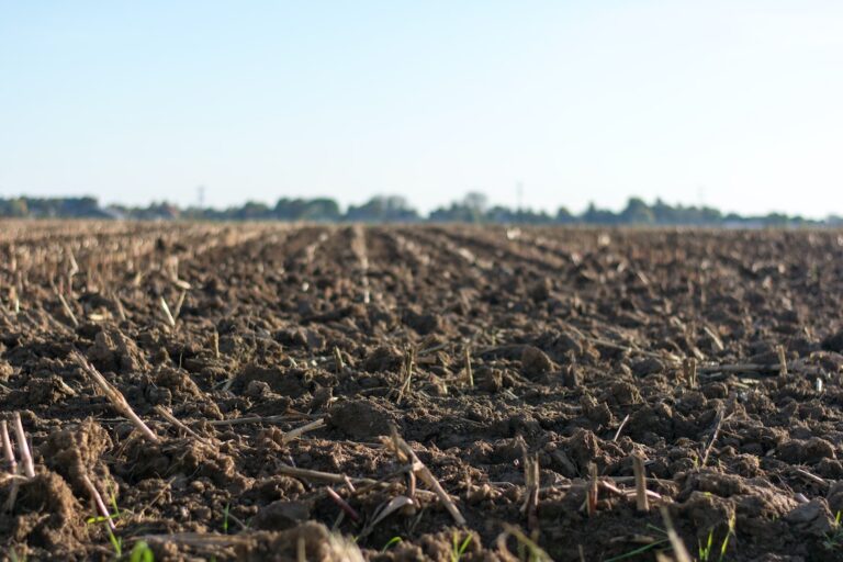 What the Different Colors of Soil Are and Their Meaning | Elgar History