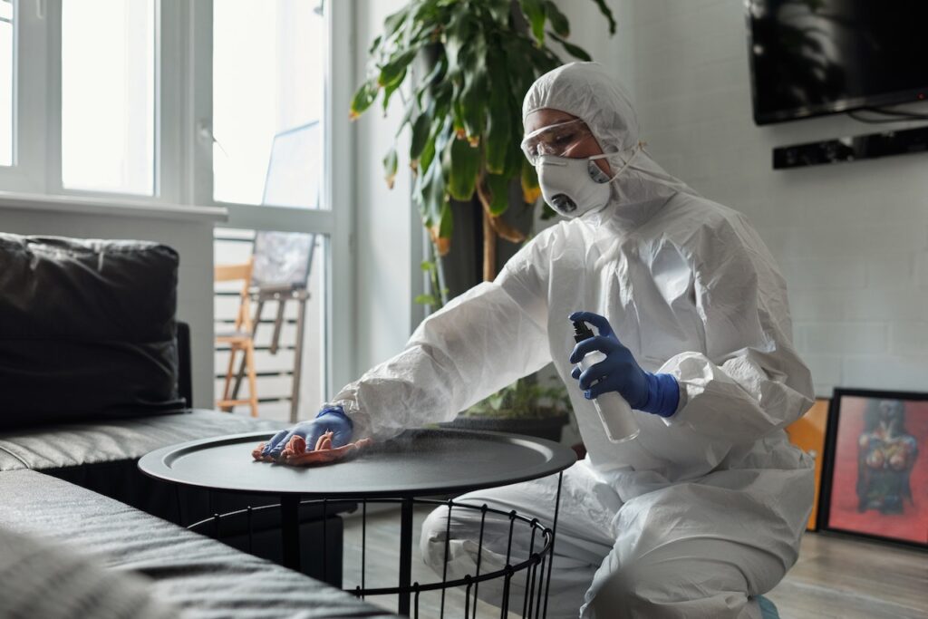Understanding Types of Cleaning Services: A Guide | Elgar History